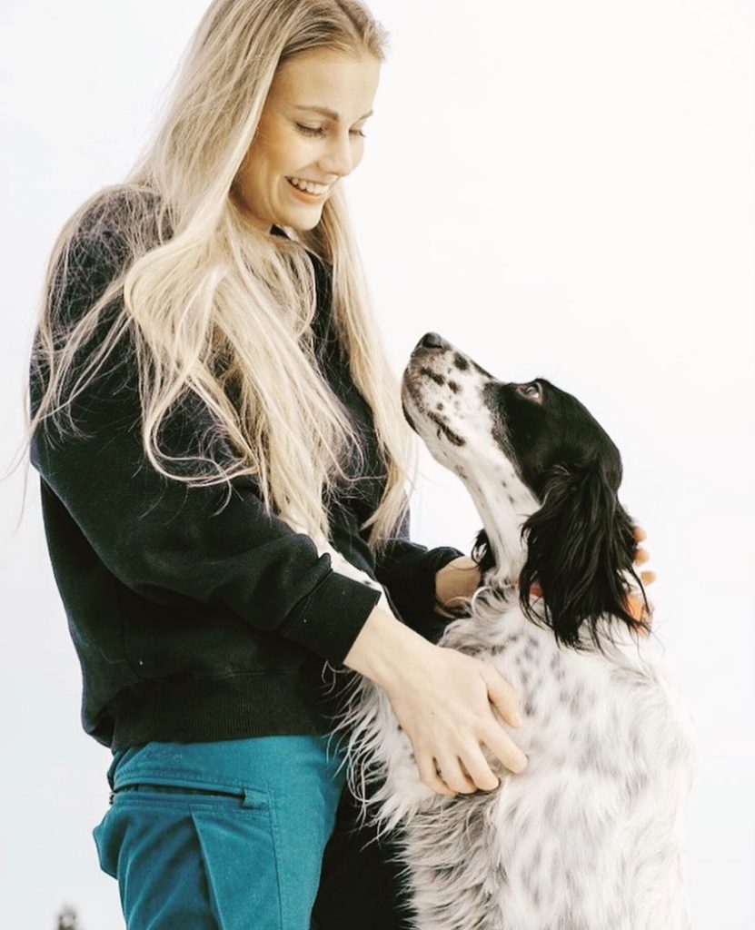 English Setter Temperament And Personality - Kid Friendly and Intelligent