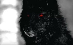 All Demon Dogs and Their Names Which are Myths But Believed in ...