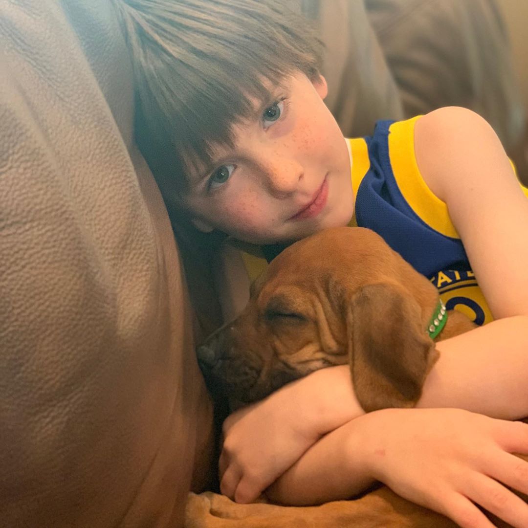 Rhodesian Ridgeback Temperament and Personality - Kid Friendly and ...