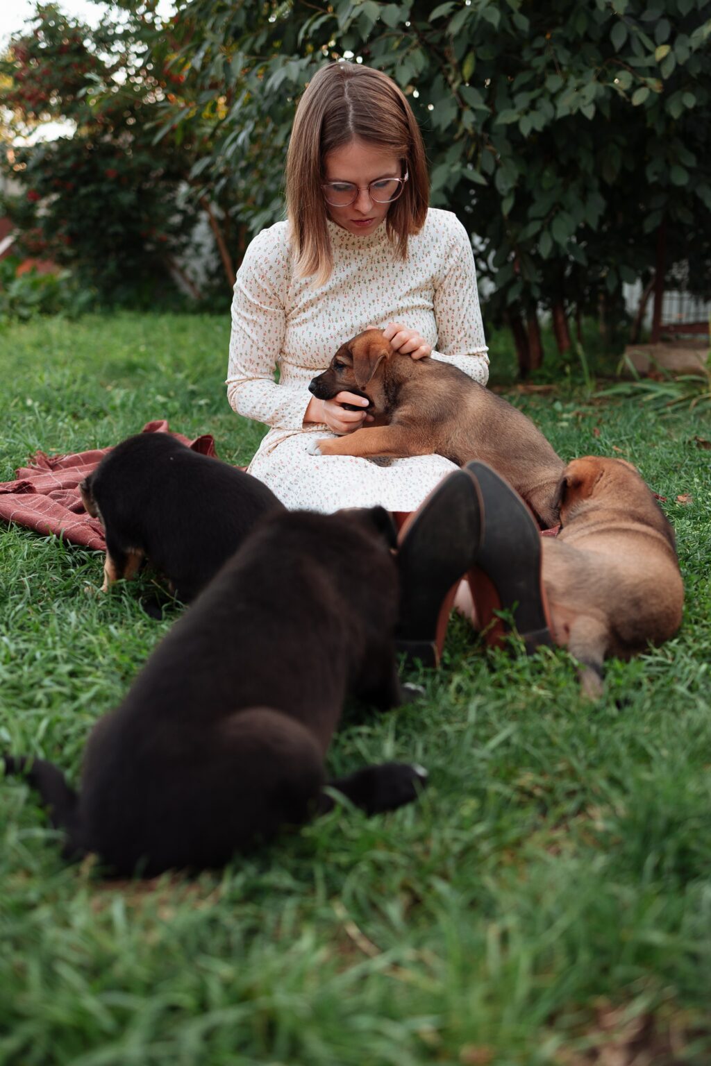 Benefits of Owning a Dog | Stress Relieve and Health | Social ...