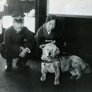 Famous Dogs in History: Stories of Heroism and Loyalty