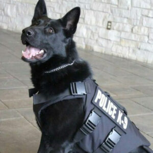 "The Role of Dogs in Law Enforcement: How Canines Assist Police and ...